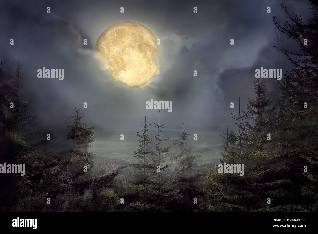 Beautiful landscape with full moon in night sky Stock Photo - Alamy