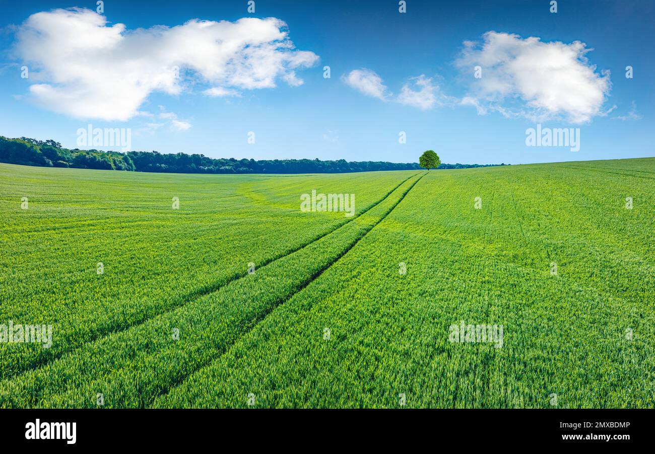 Aerial landscape photography. Stunning summer view from flying drone of ...