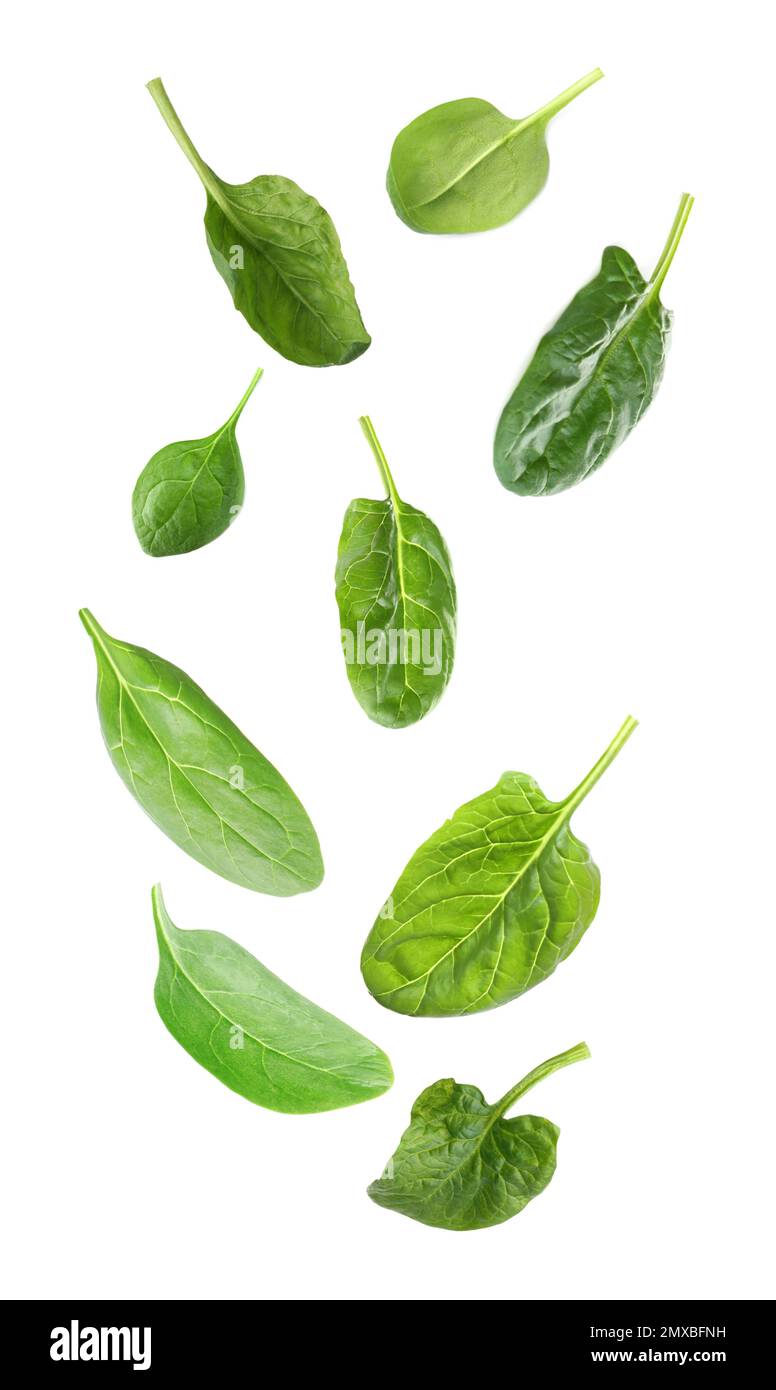 Set with fresh green spinach leaves falling on white background Stock ...