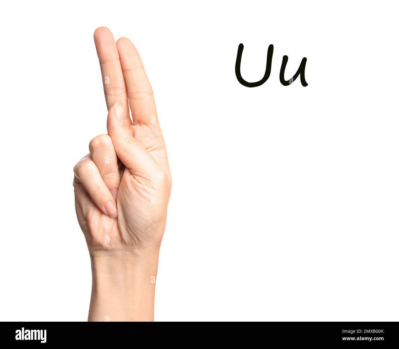 Woman showing letter U on white background, closeup. Sign language ...