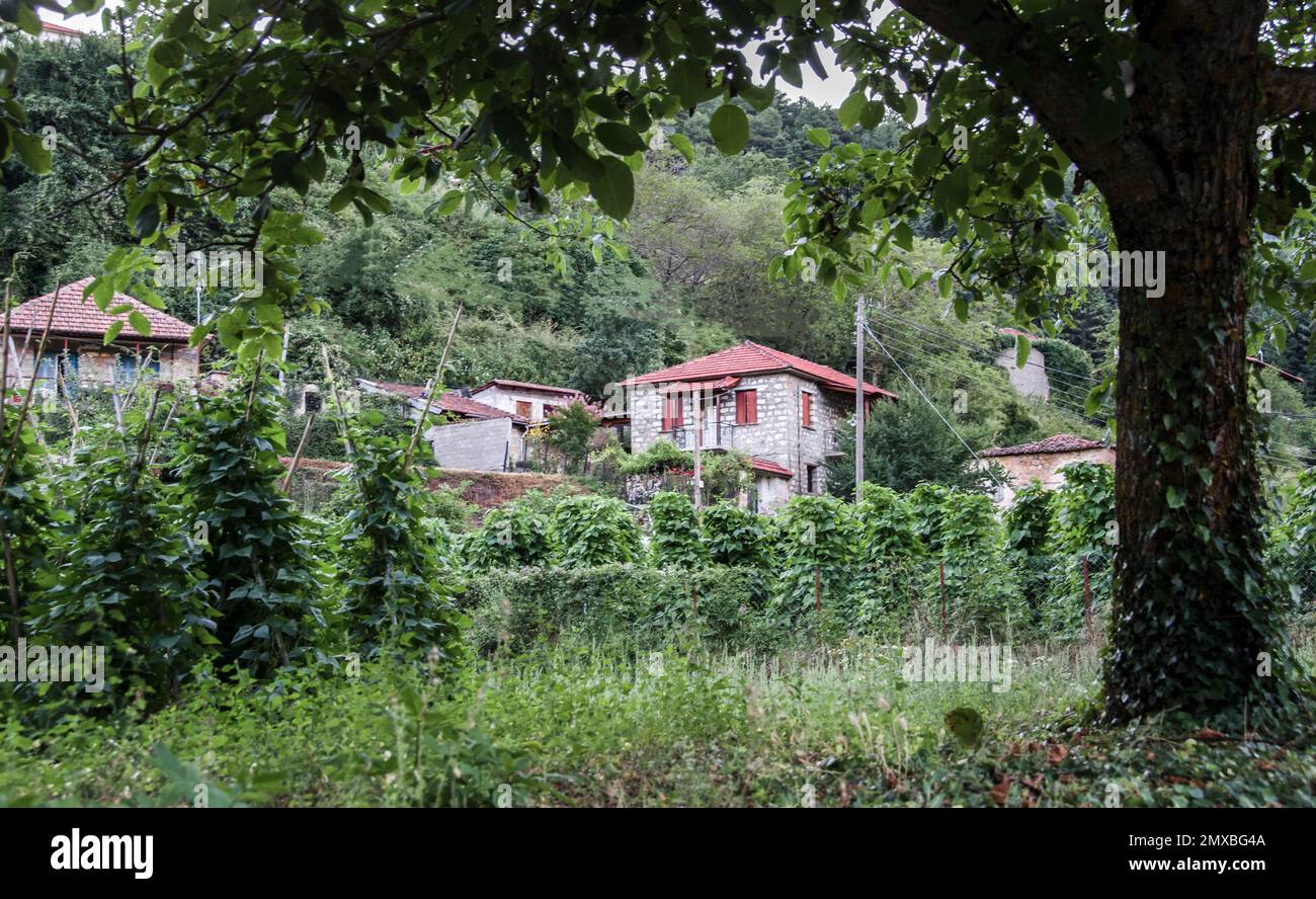 Houses in Zarouhla village. Achaia, Greece Stock Photo - Alamy