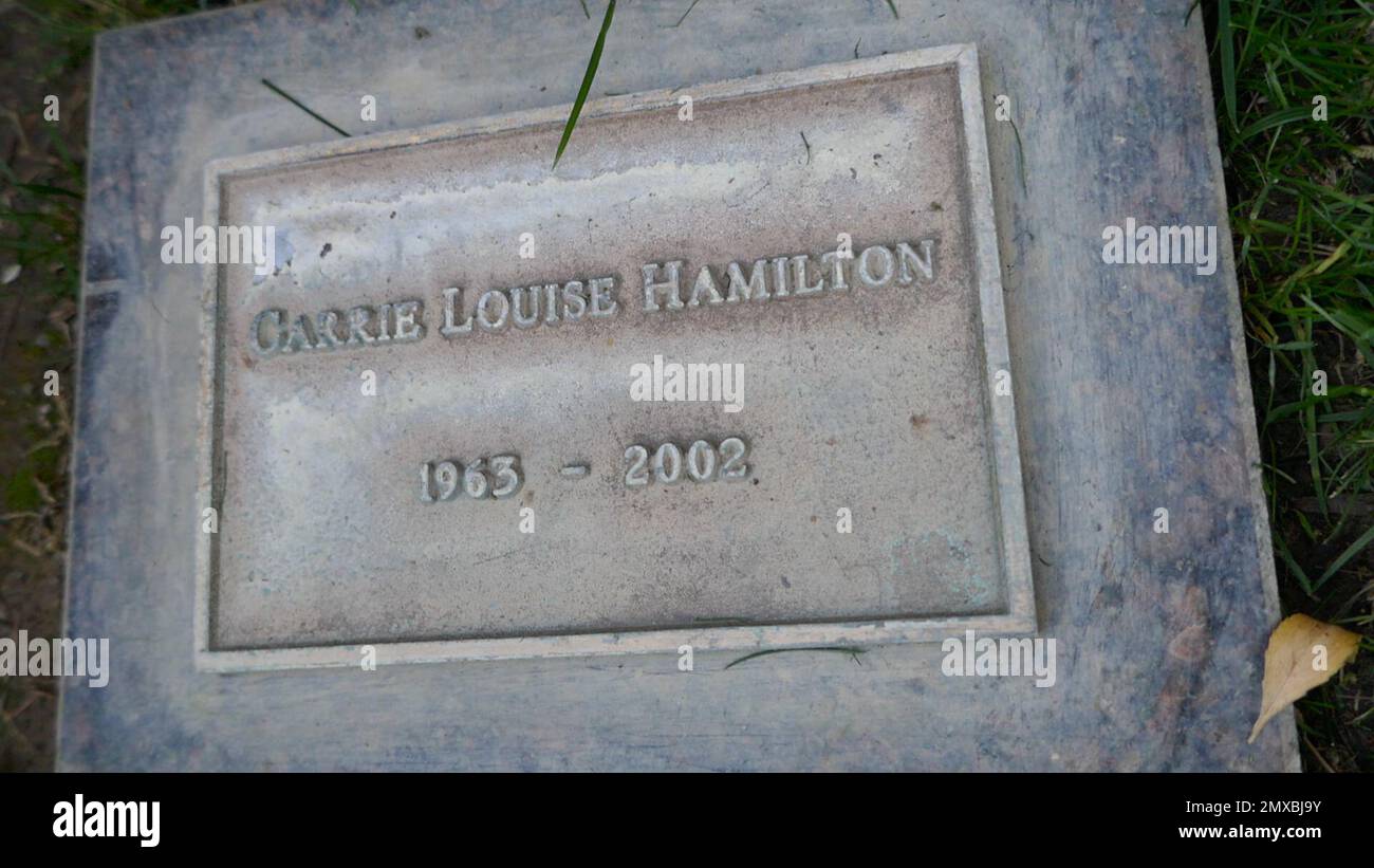 Los Angeles, California, USA 31st January 2023 A general view of ...