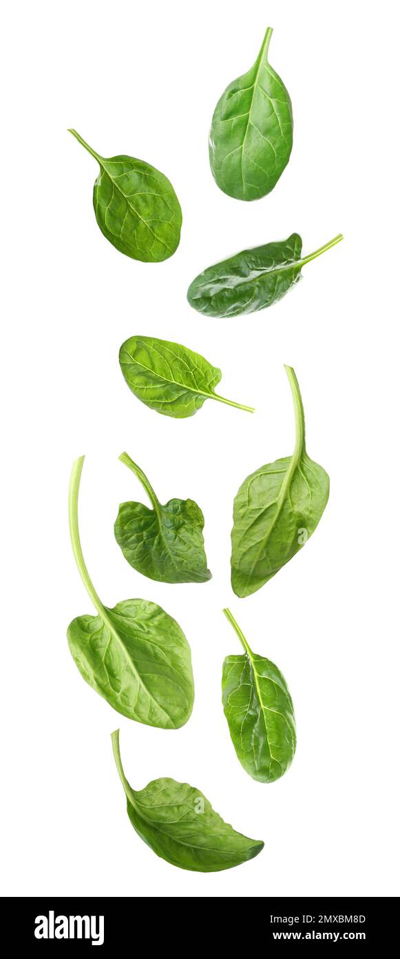 Set with fresh green spinach leaves falling on white background Stock ...