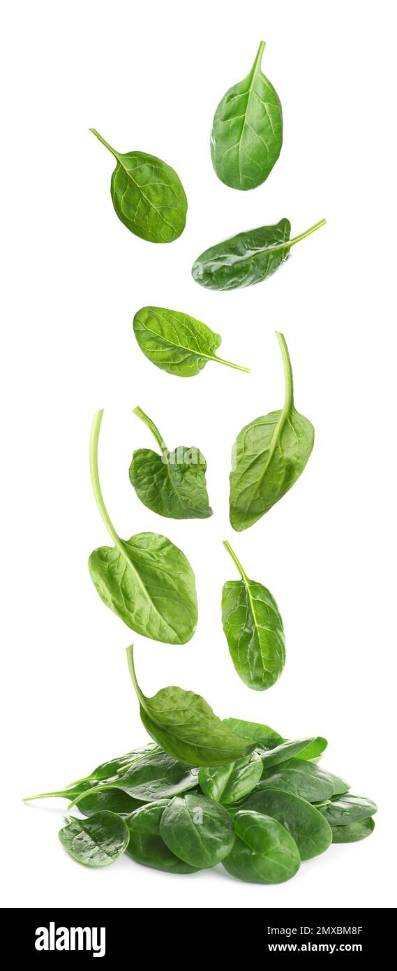 Set with fresh green spinach leaves falling on white background Stock ...