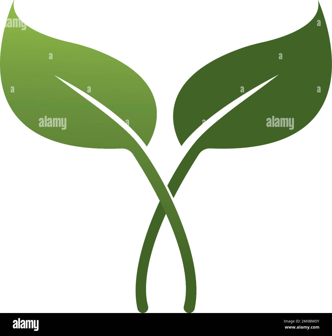 leaf icon vector design illustration template and background Stock ...