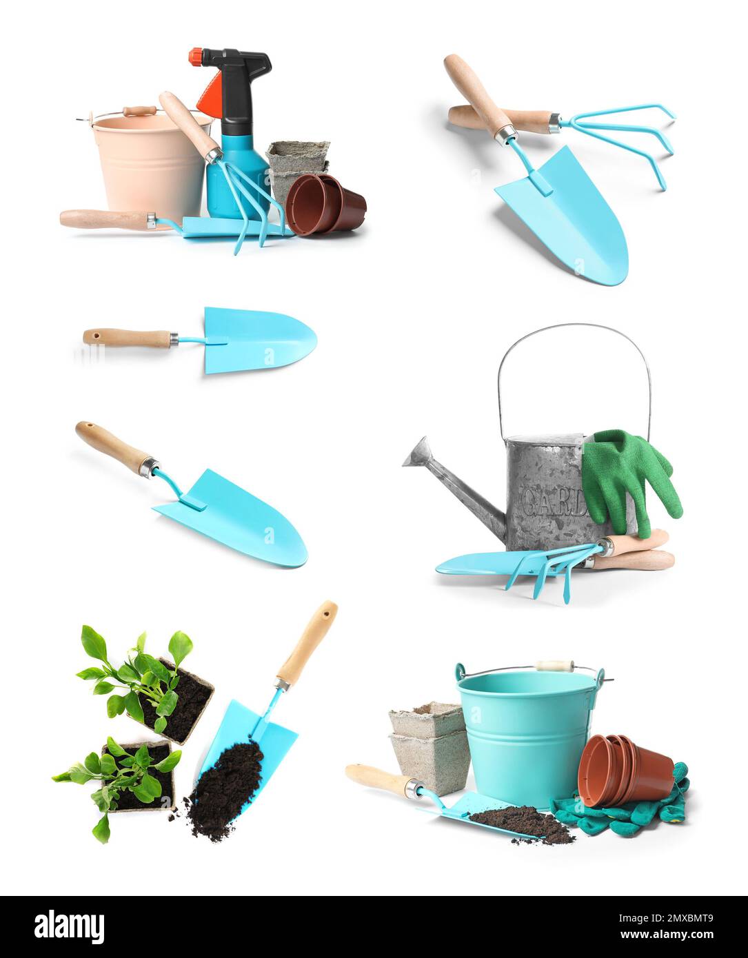 Set of gardening tools and vegetable seedlings on white background ...