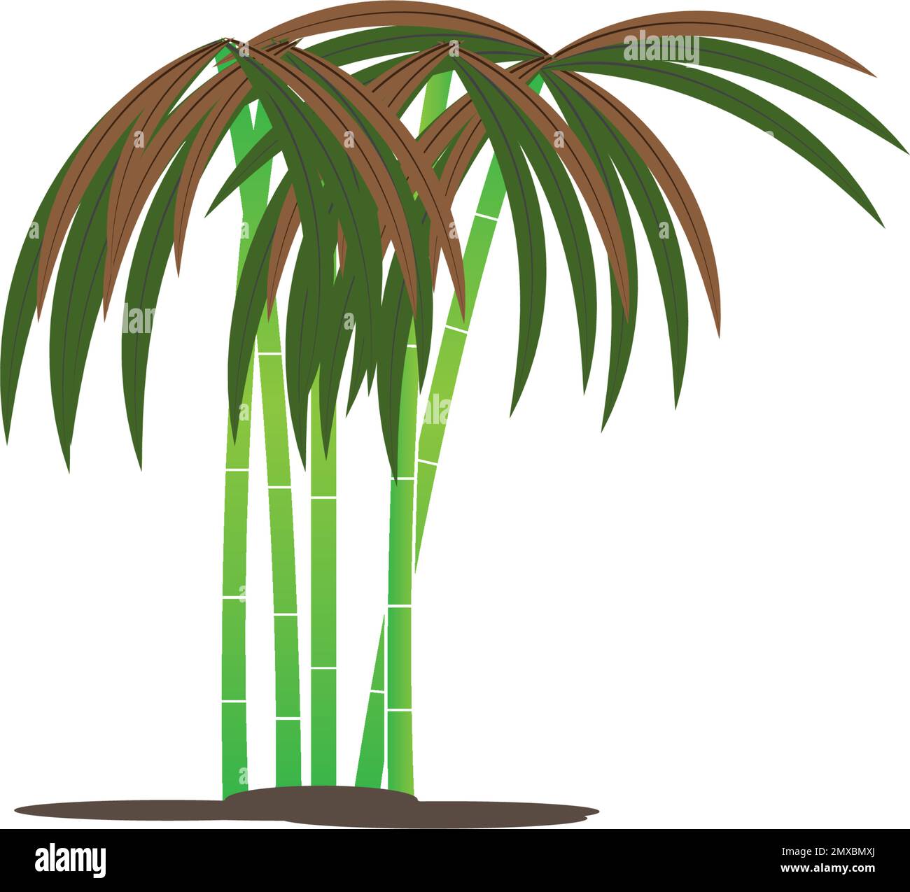 Field green sugar cane Stock Vector Images - Alamy