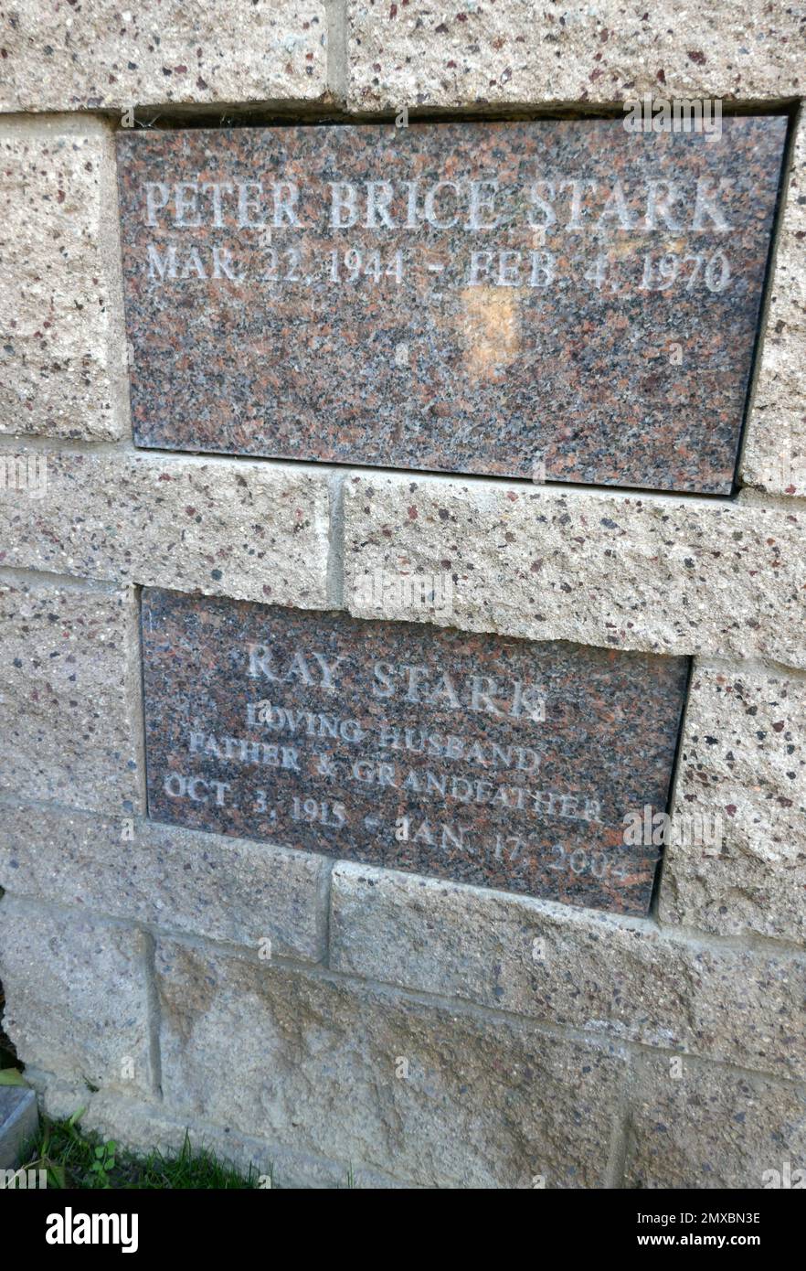 Los Angeles, California, USA 31st January 2023 A general view of atmosphere of Producer Ray ...