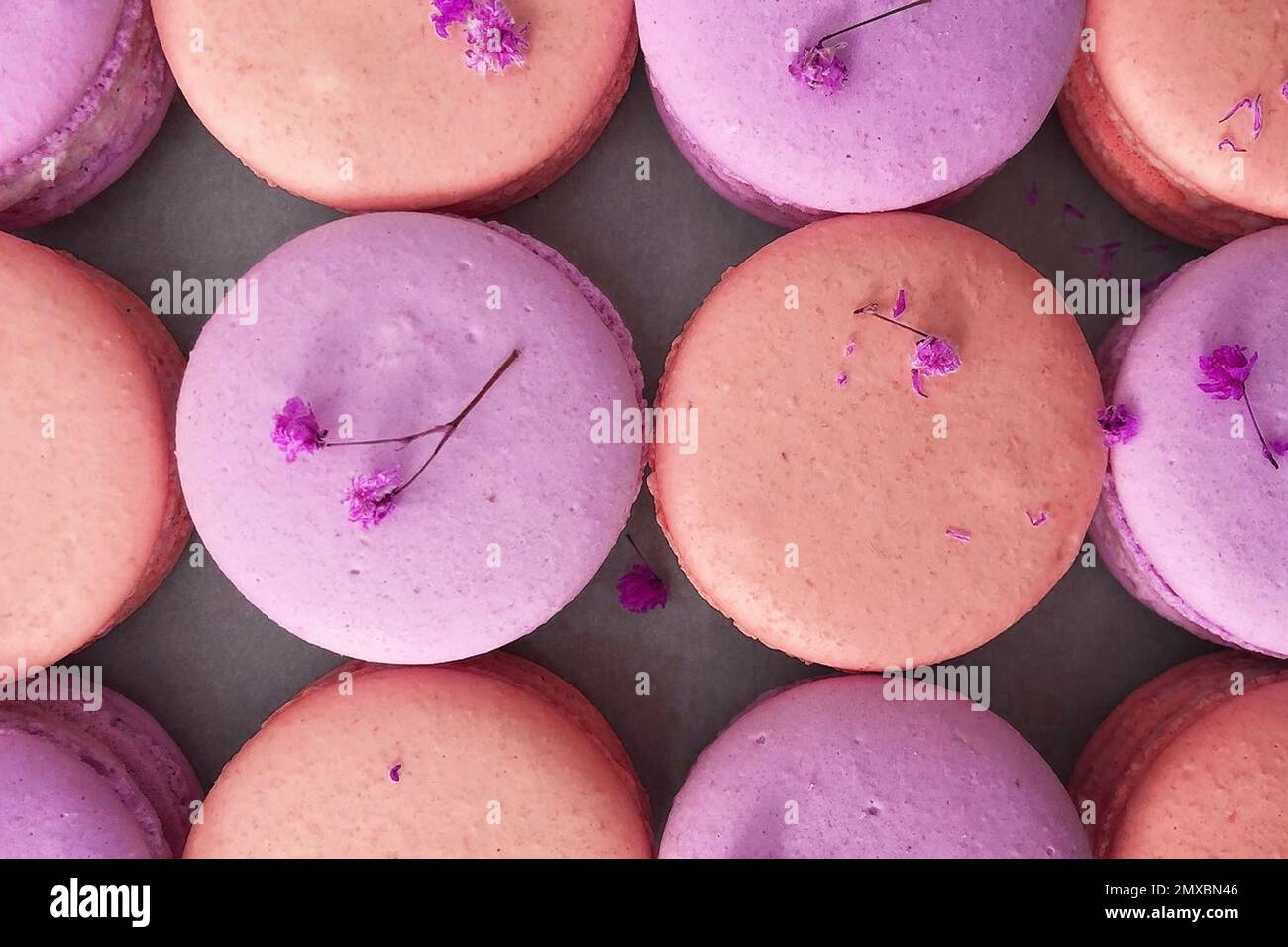 Macarons in variety colours hi-res stock photography and images - Alamy