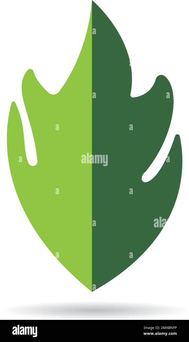 leaf icon vector design illustration template and background Stock ...