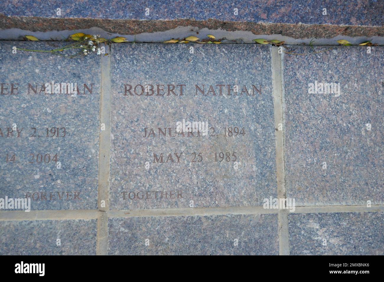 Los Angeles, California, USA 31st January 2023 A general view of atmosphere of Novelist/poet ...