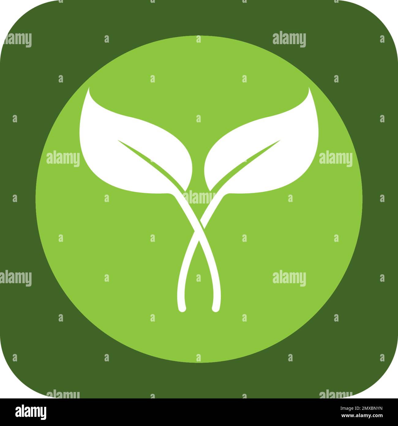 leaf icon vector design illustration template and background Stock ...