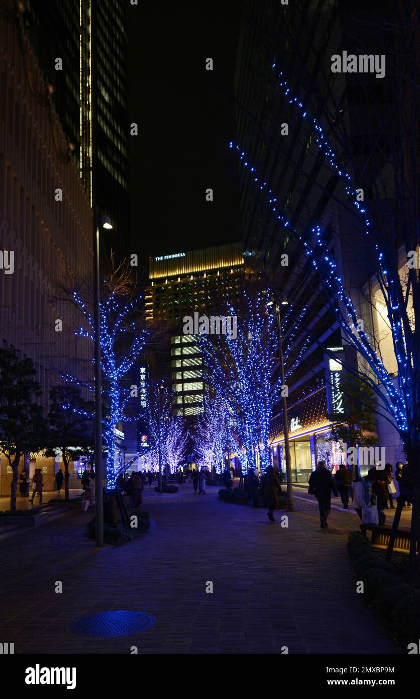 Decorated and illuminated pedestrian street in Hibiya, Tokyo, Japan ...