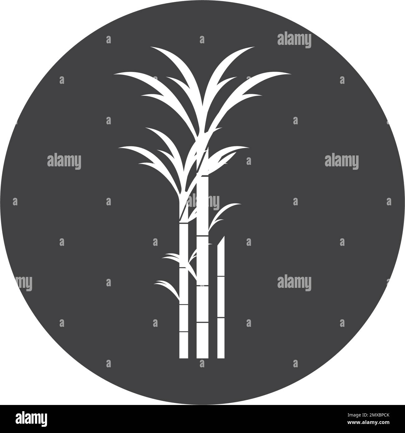 Sugar cane icon Vector Illustration design Logo template Stock Vector ...