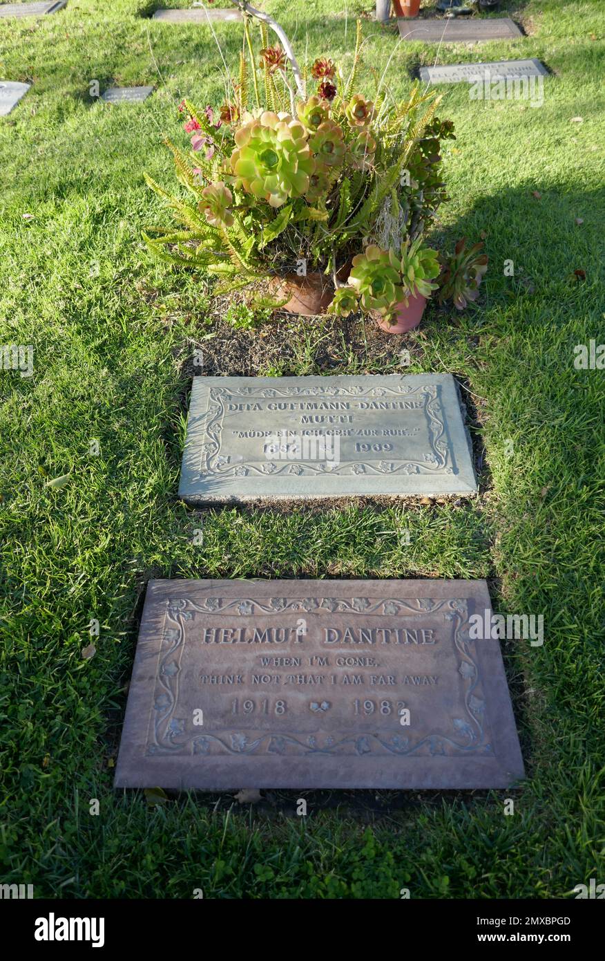 Los Angeles, California, USA 31st January 2023 A general view of atmosphere of Actor Helmut ...