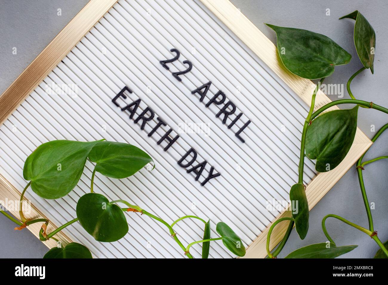 earth day 22 April, on a notice board with plants and copy space Stock ...