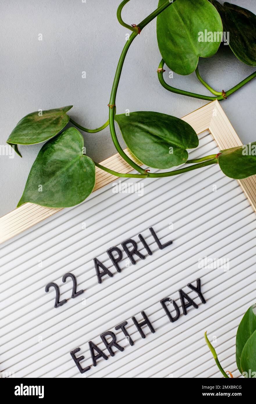 earth day 22 April, on a notice board with plants and copy space Stock ...