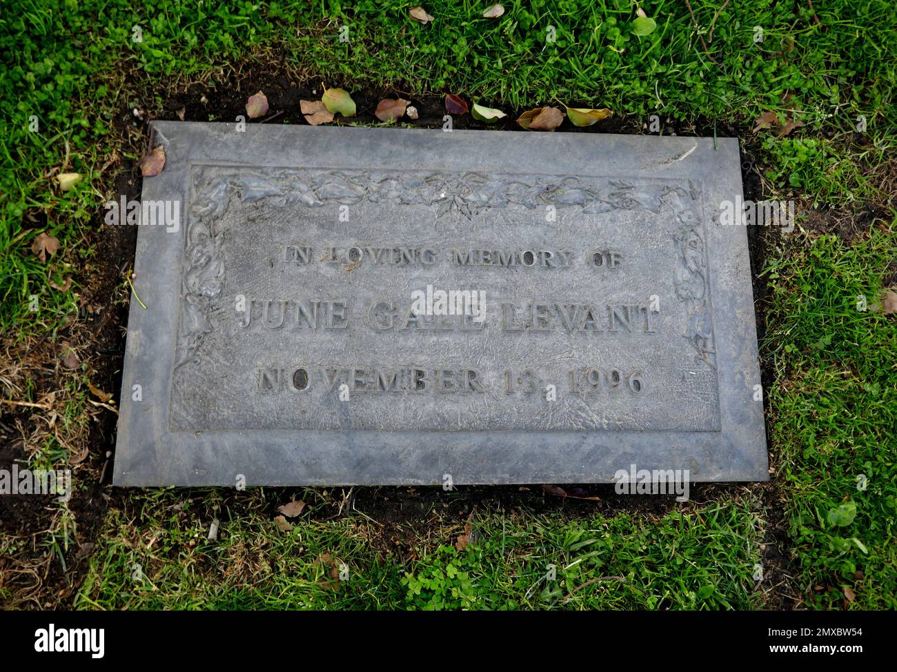 Los Angeles, California, USA 31st January 2023 A general view of ...