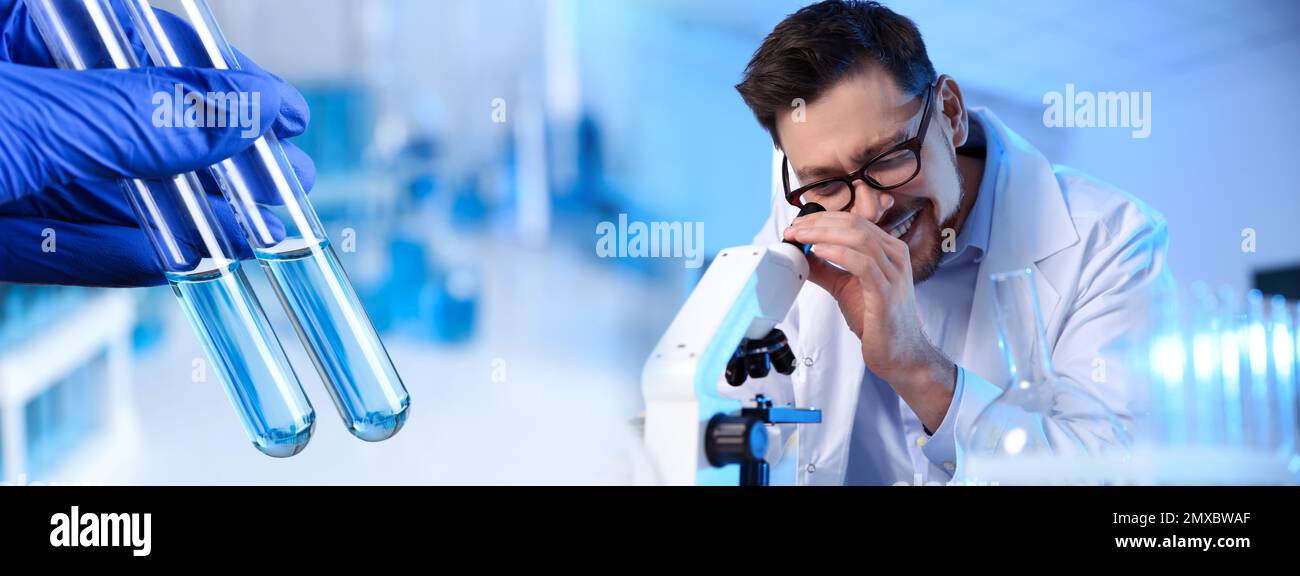 Scientist using modern microscope and test tubes for analysis in ...