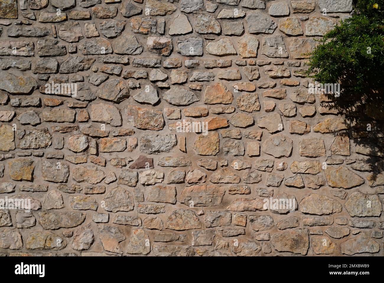 gray stone wall background with natural greenery in the corner like ...
