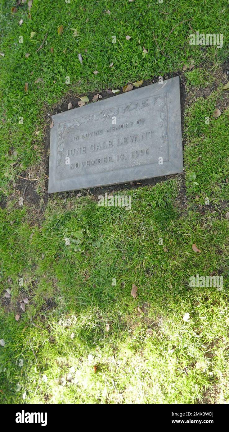 Los Angeles, California, USA 31st January 2023 A general view of ...