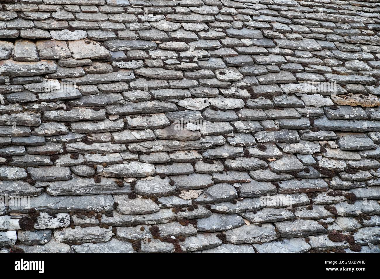 tiled grey ancient medieval roof background with old vintage gray tiles ...