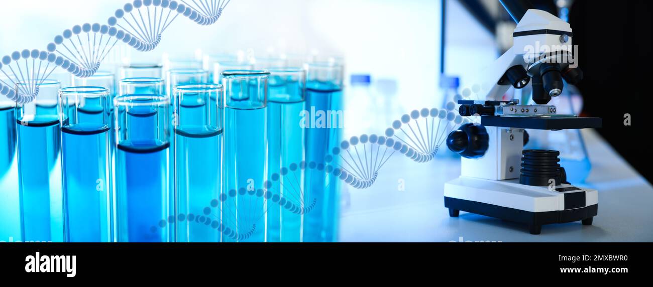 Modern microscope and many test tubes for analysis in laboratory ...