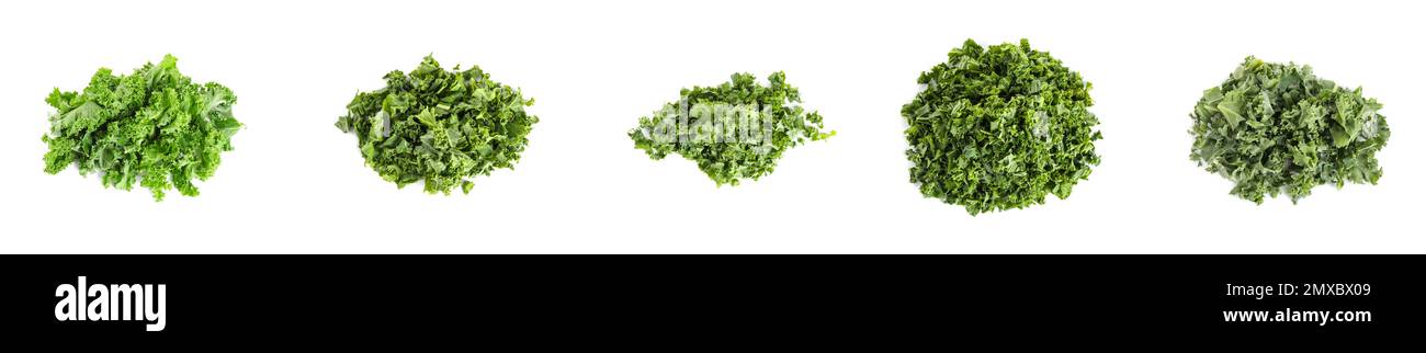 Set of fresh green kale leaves on white background. Banner design Stock ...