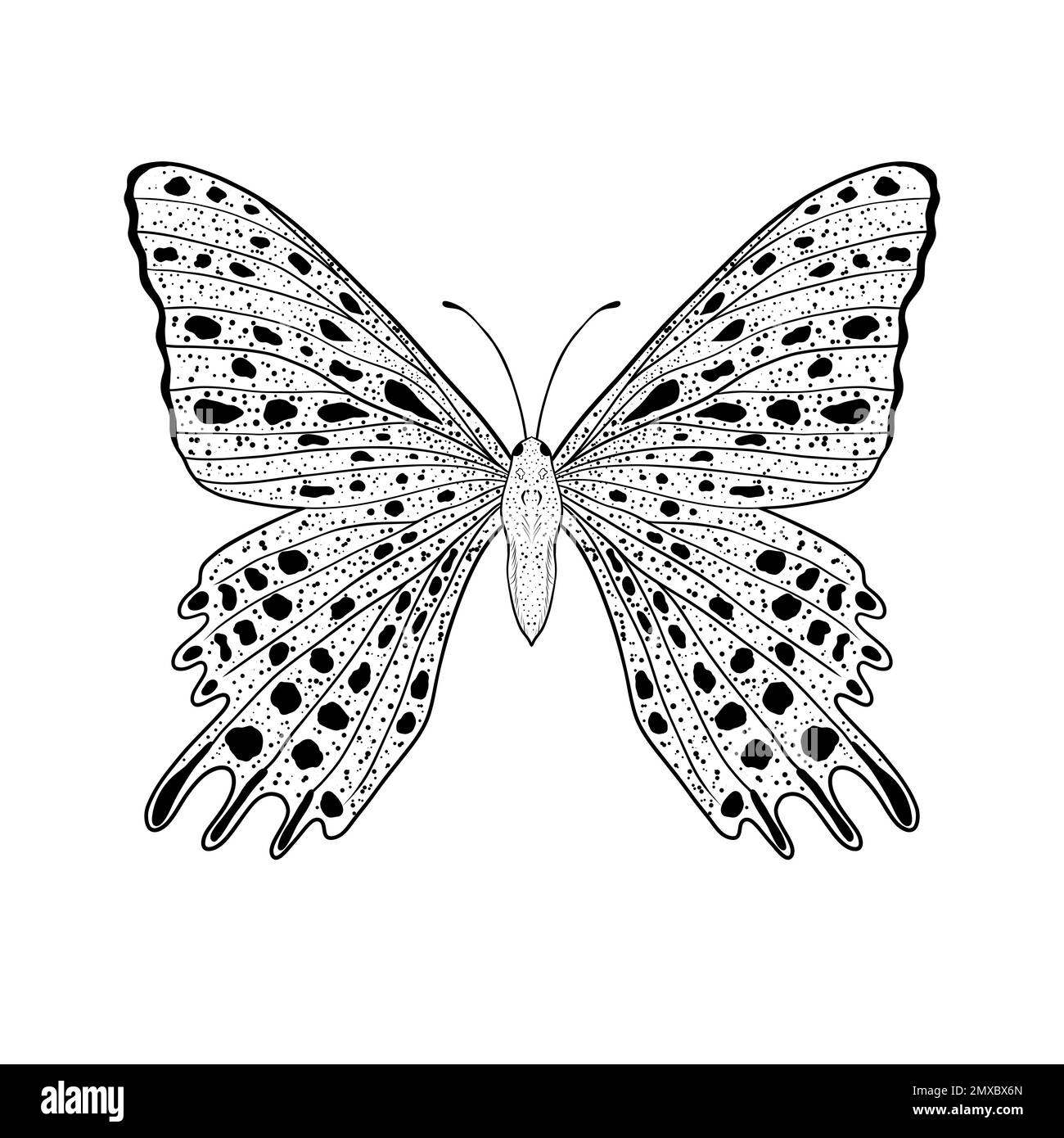 Hand drawn butterfly Stock Vector Image & Art - Alamy