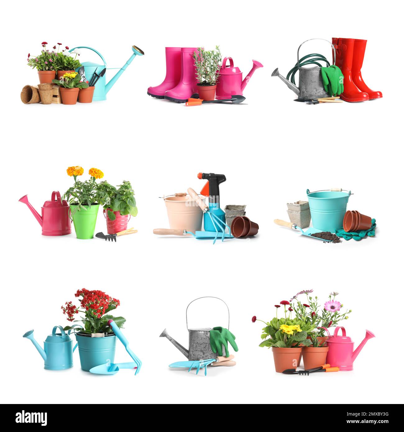 Set with different gardening tools and plants on white background Stock ...