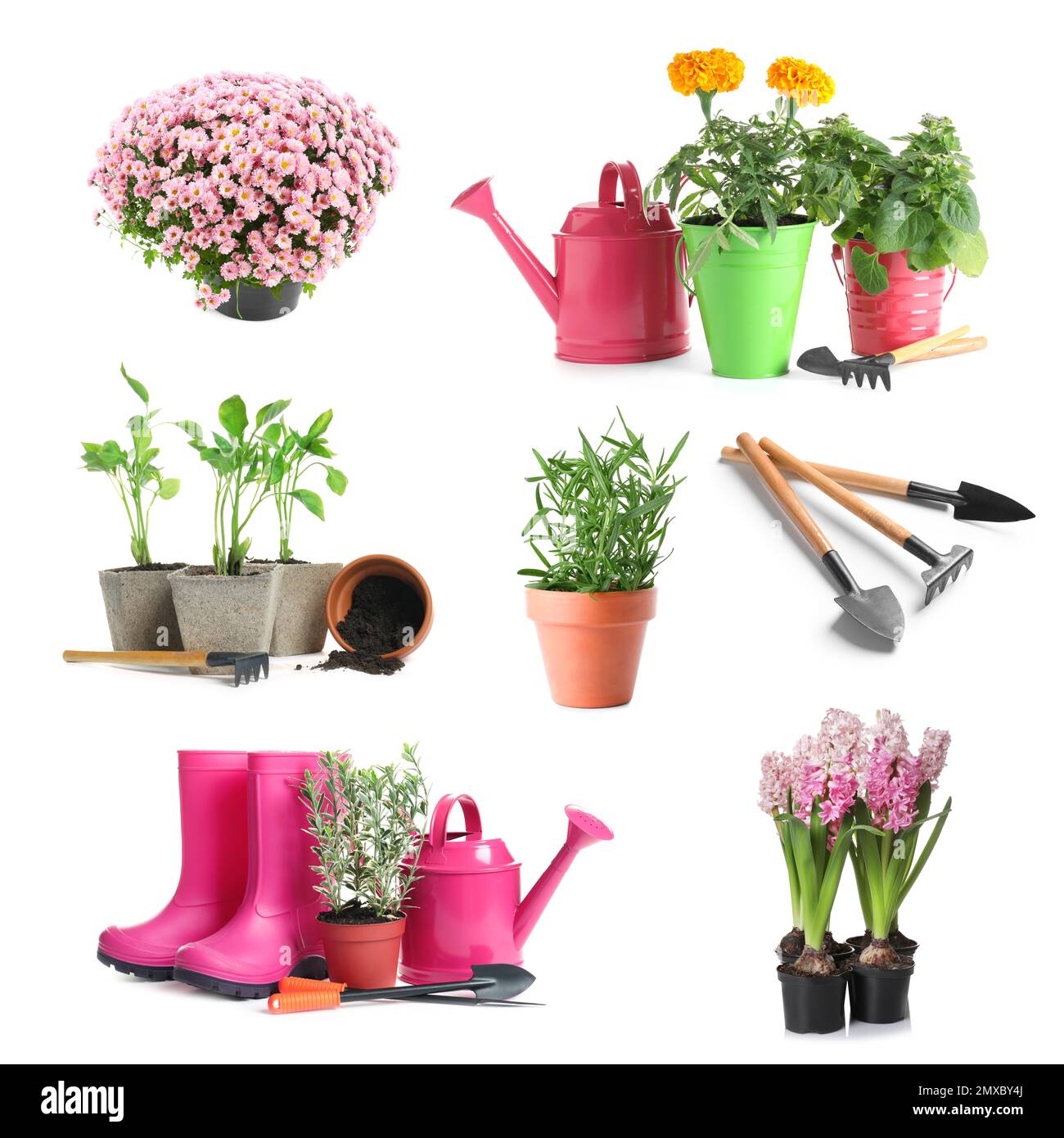 Set with different gardening tools and plants on white background Stock ...