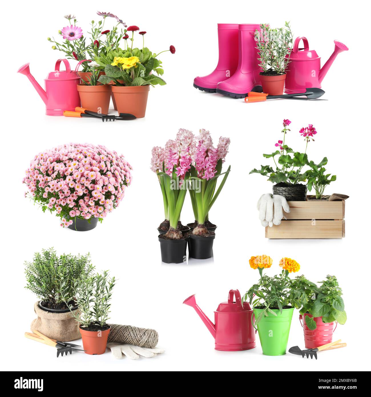 Set with different gardening tools and plants on white background Stock ...