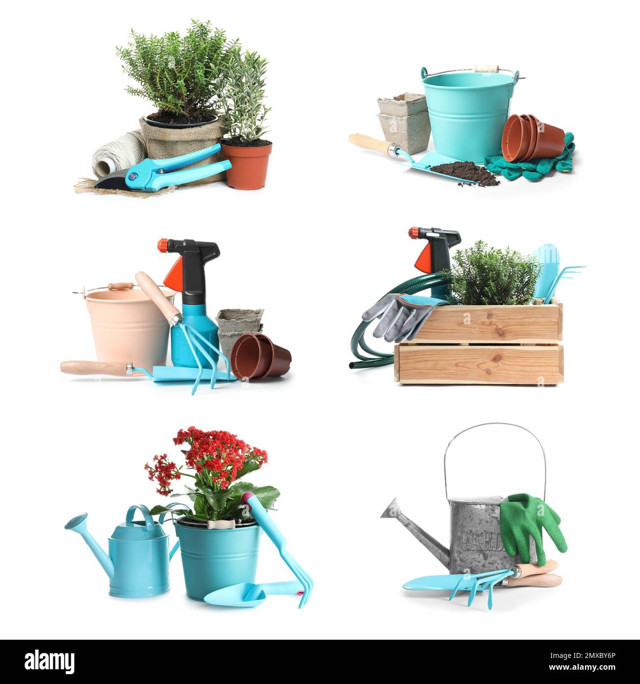Set with different gardening tools and plants on white background Stock ...