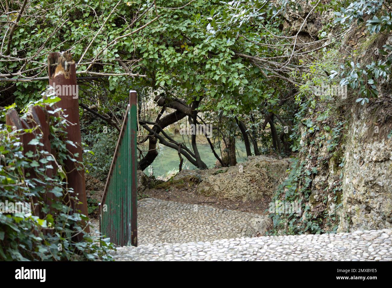 Stone road leading to the pond Stock Photo - Alamy