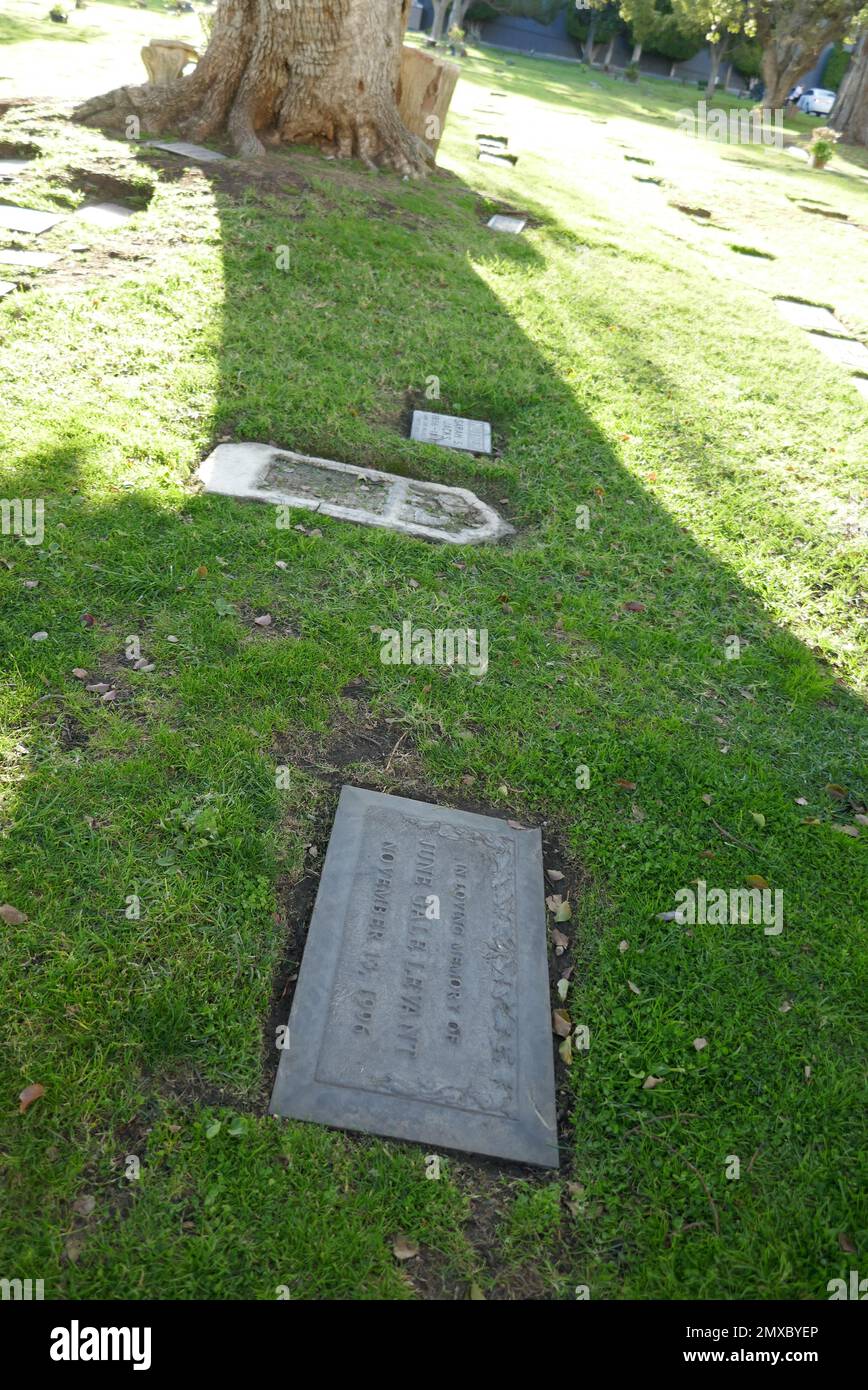 Los Angeles, California, USA 31st January 2023 A general view of ...