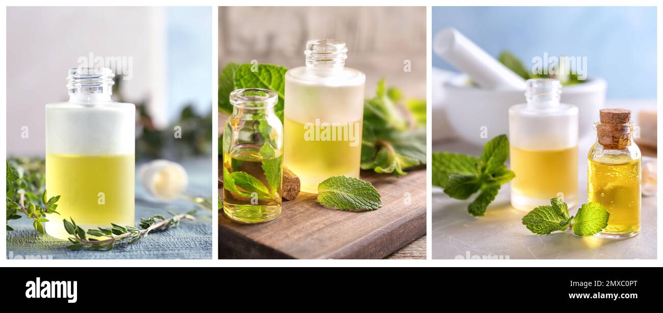 Collage of different photos with essential oils and herbs. Banner ...