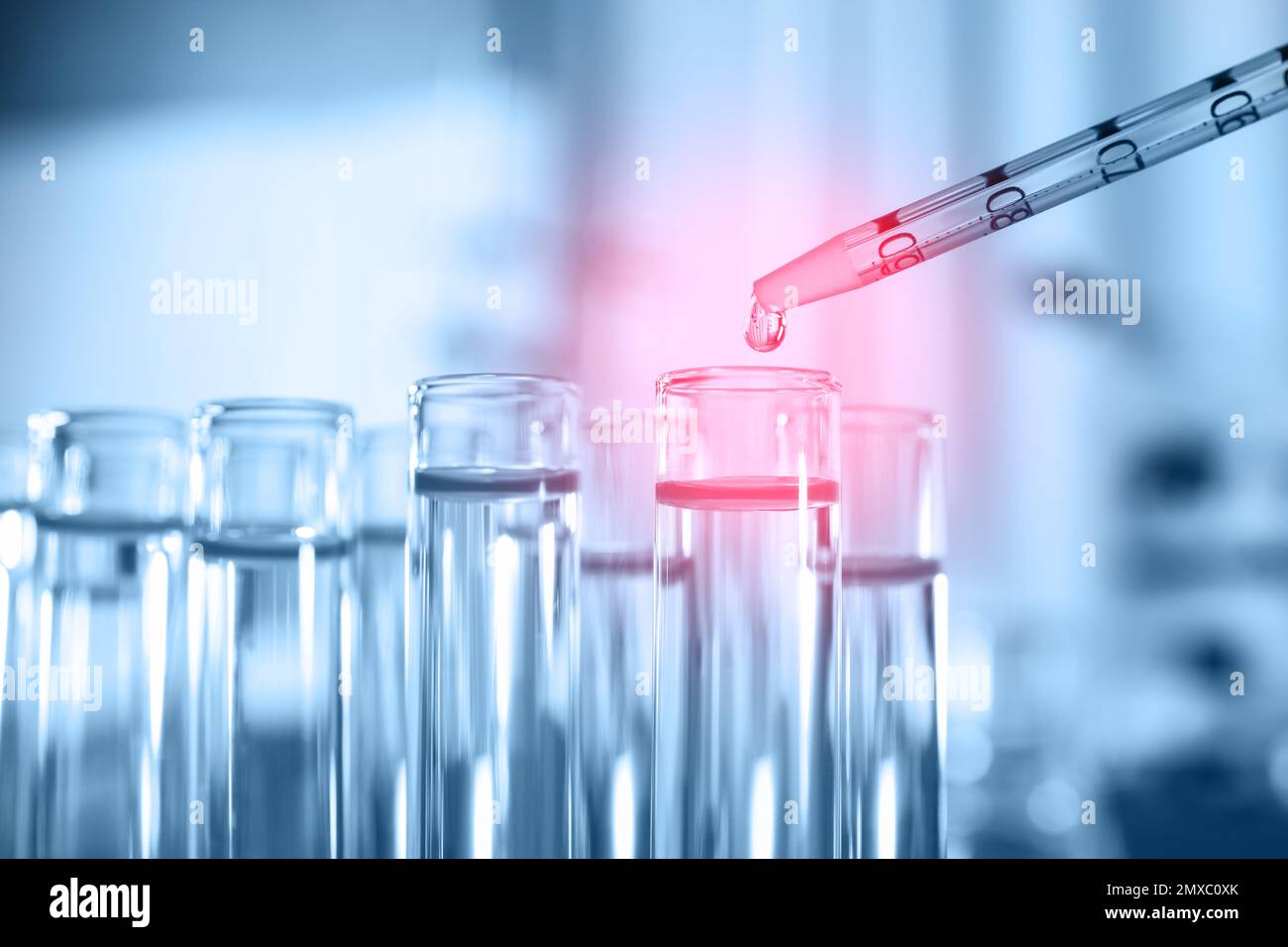 Dripping reagent into test tube, closeup. Laboratory analysis Stock ...