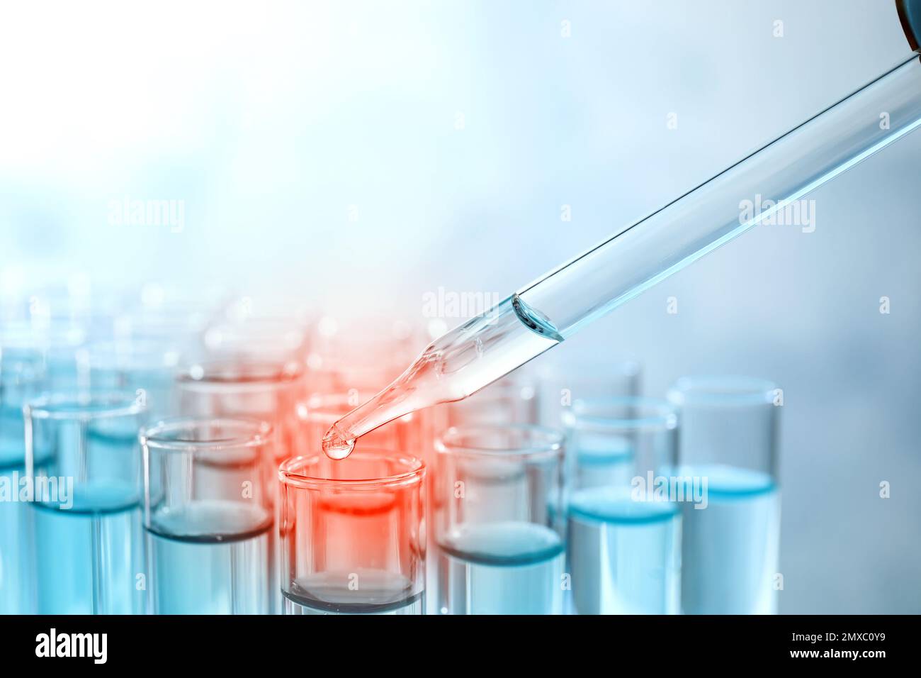 Dripping sample into test tube with liquid, closeup. Laboratory ...