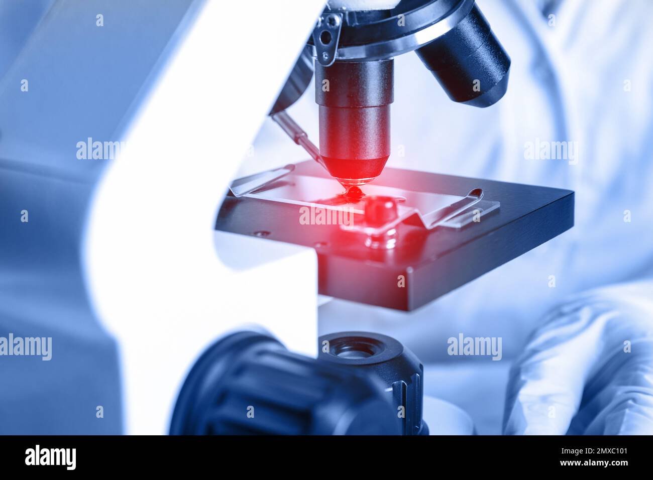Scientist examining blood sample with microscope, closeup. Laboratory ...