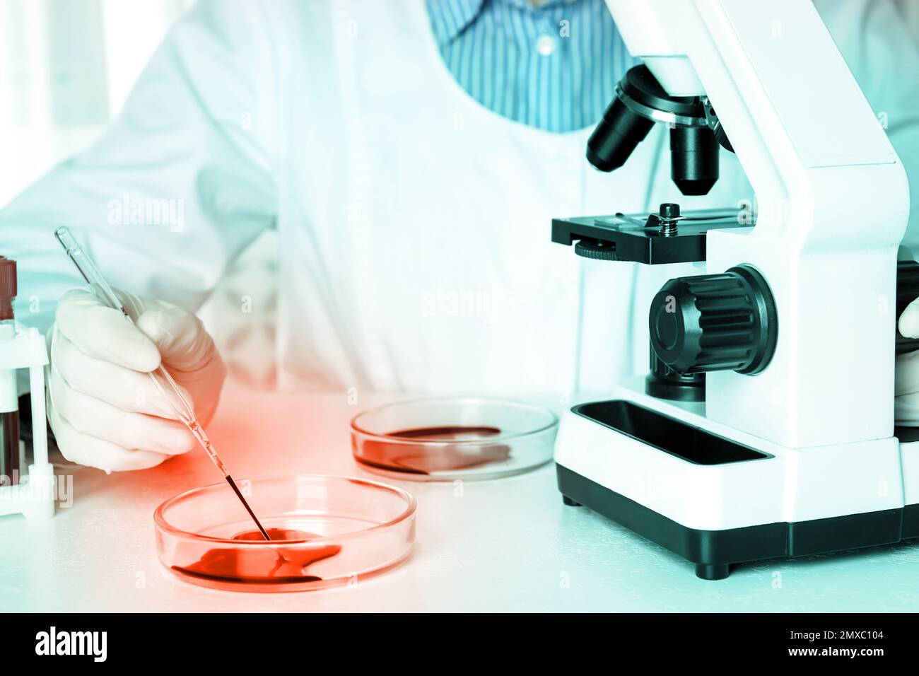 Scientist examining blood sample with microscope, closeup. Laboratory ...