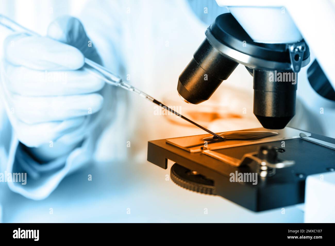 Scientist examining blood sample with microscope, closeup. Laboratory ...