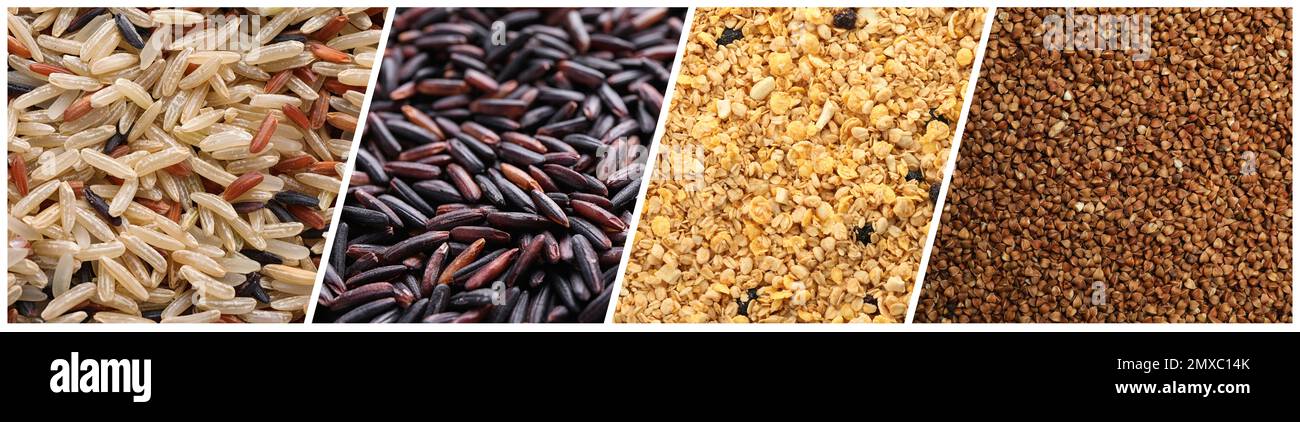 Collection of different grains and cereals as background. Banner design ...