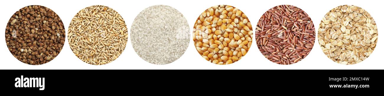 Collection of different grains and cereals on white background. Banner ...