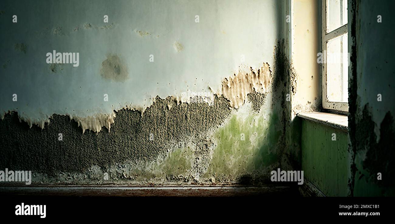 Allergy to plaster hi-res stock photography and images - Alamy