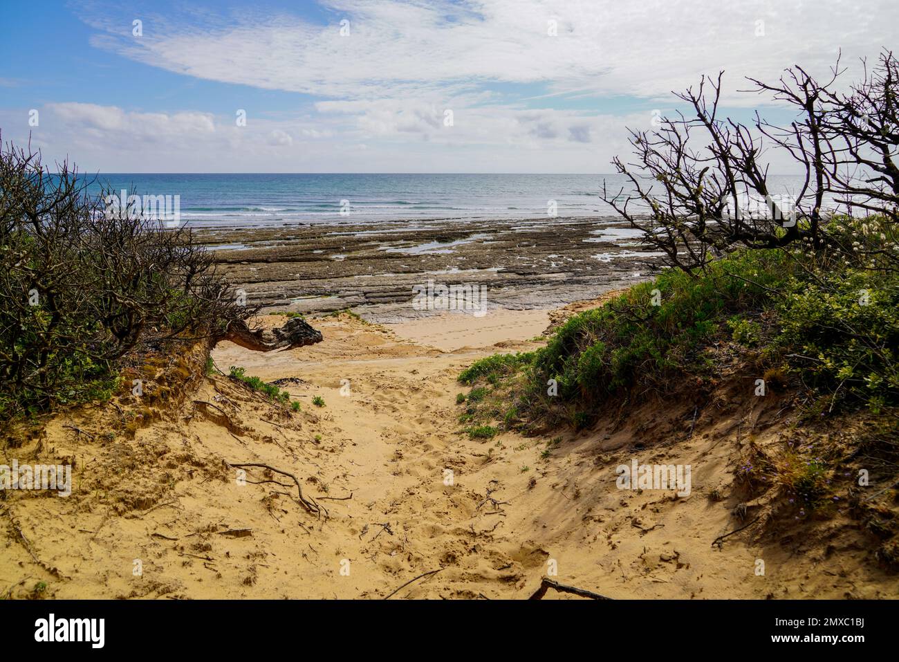 pathway sandy beach access in vendée coast in west France Stock Photo ...