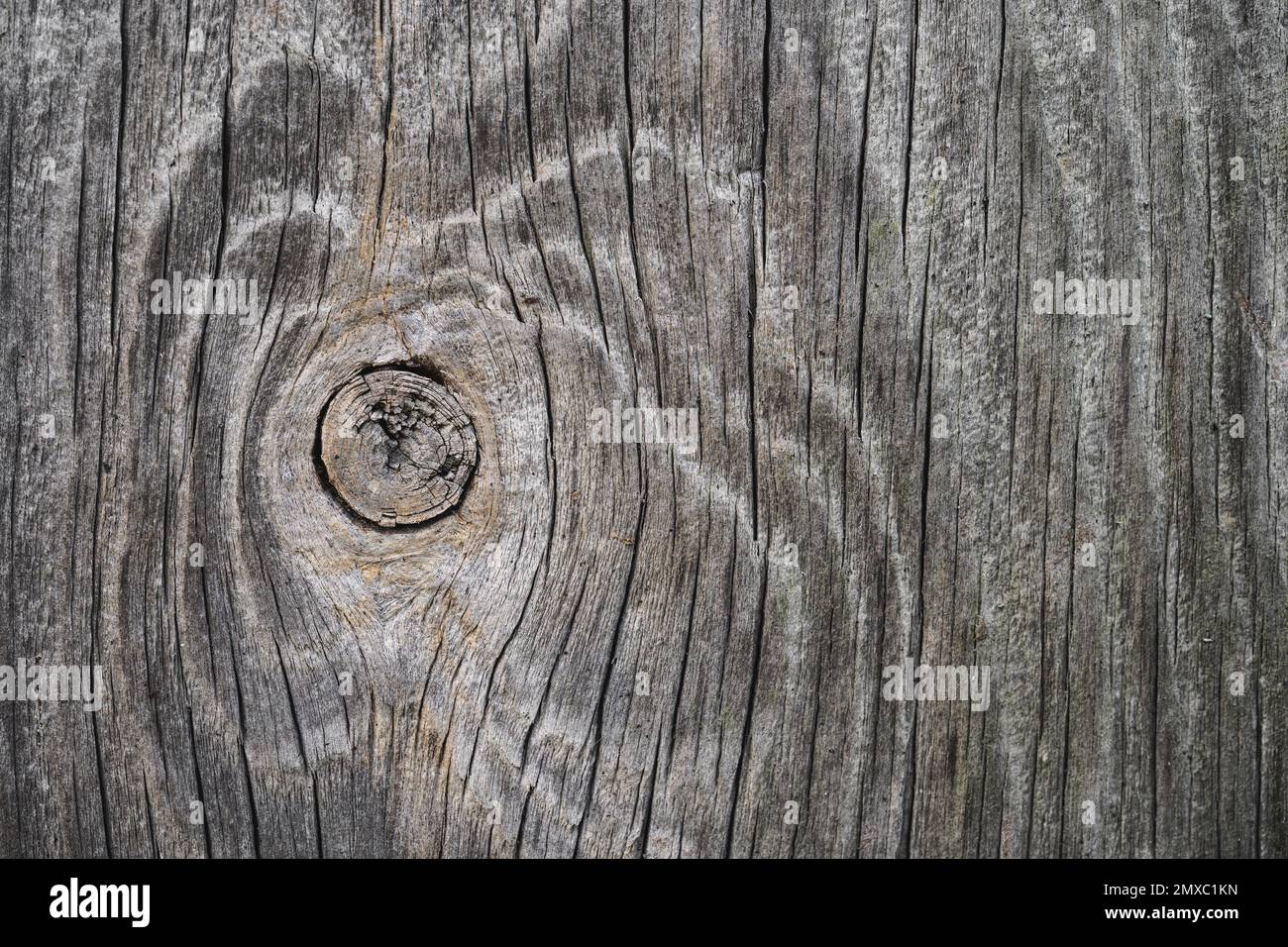 close up of wood texture with natural fibers, board material for ...