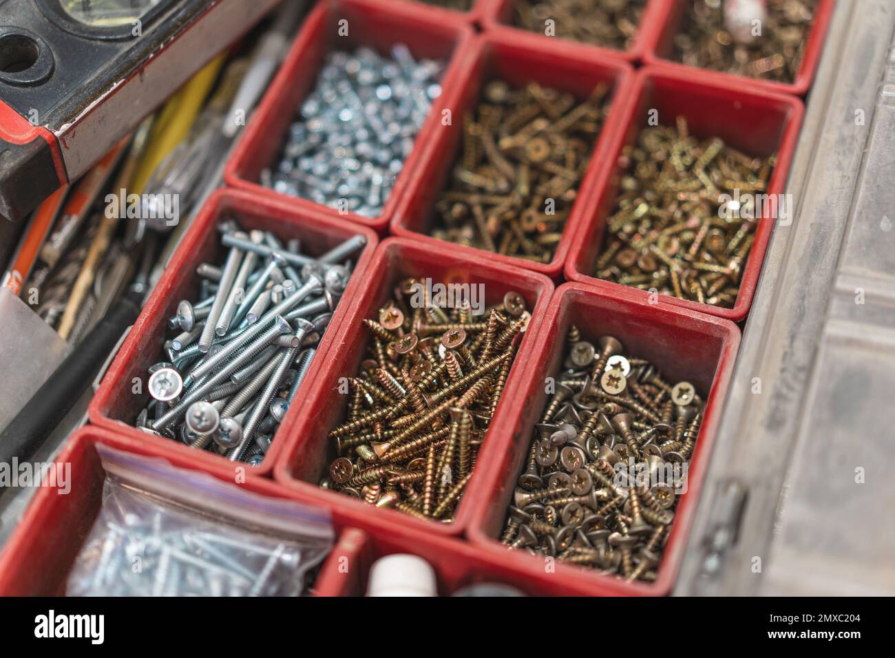 many different screws in the organizer of master for work Stock Photo ...