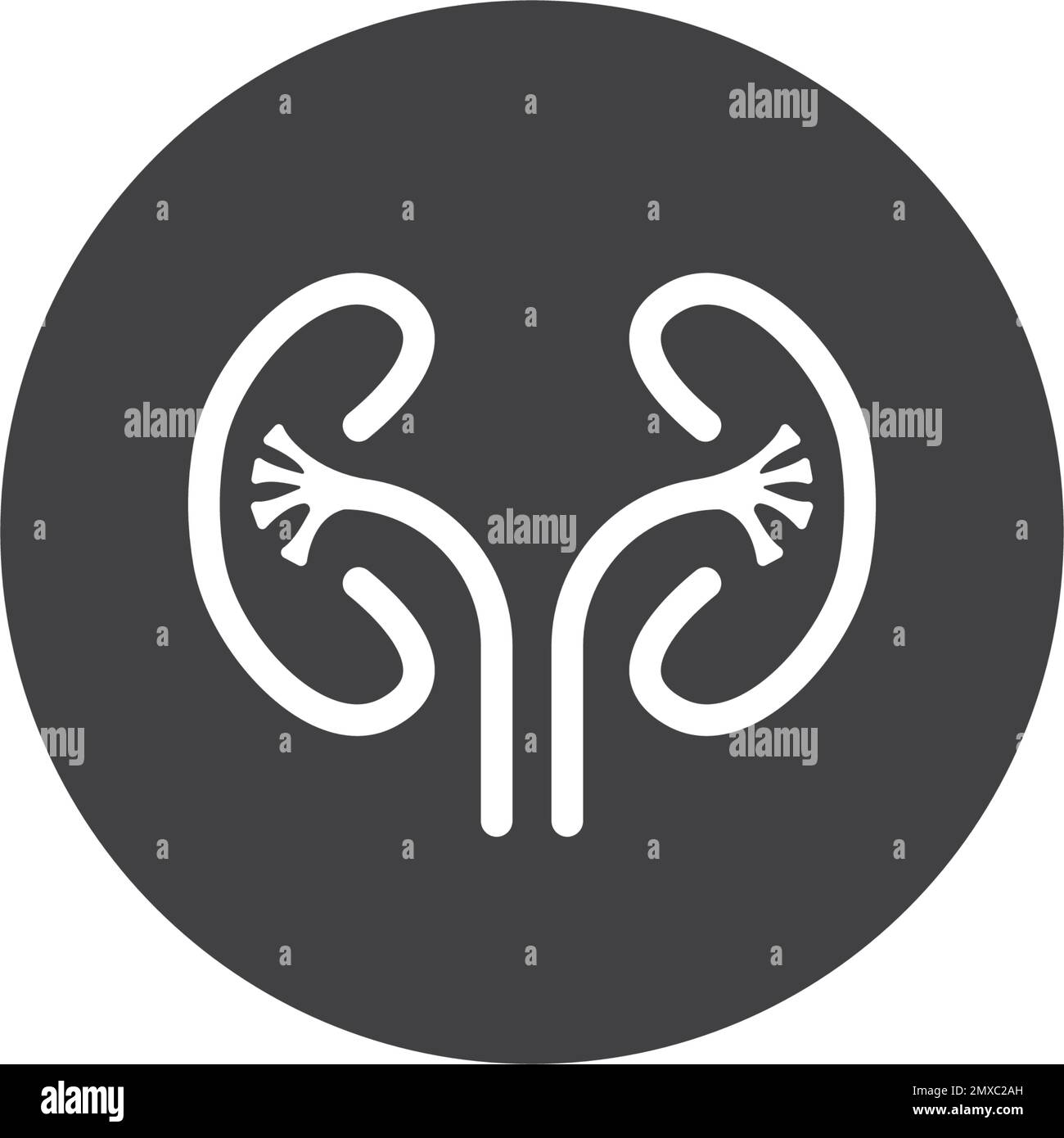 Kidney icon vector. Urology logo design template Stock Vector Image ...