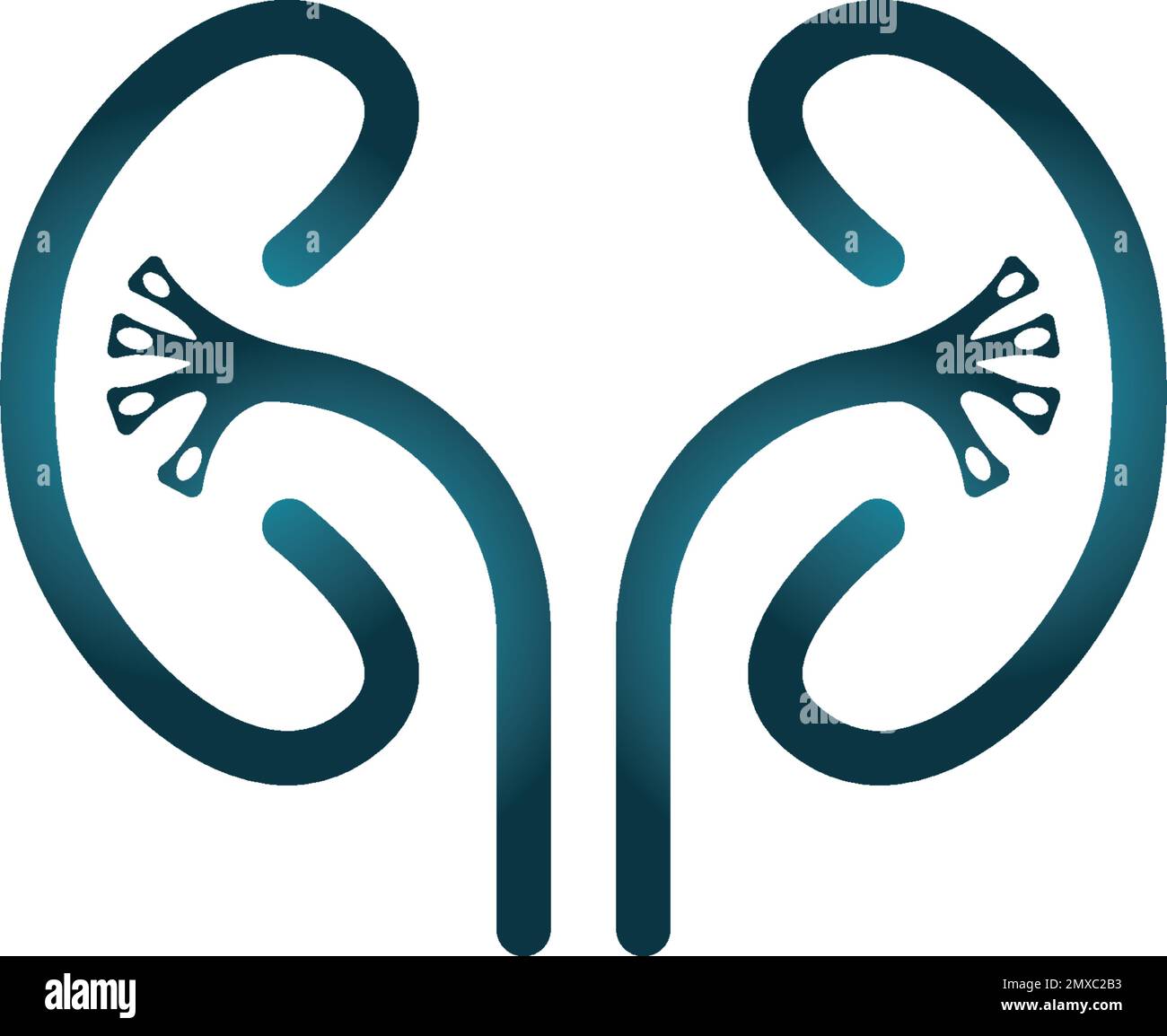 Kidney icon vector. Urology logo design template Stock Vector Image ...