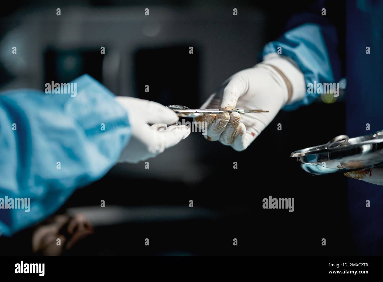 Surgeon, hands and medical scissors for a surgery on a emergency ...